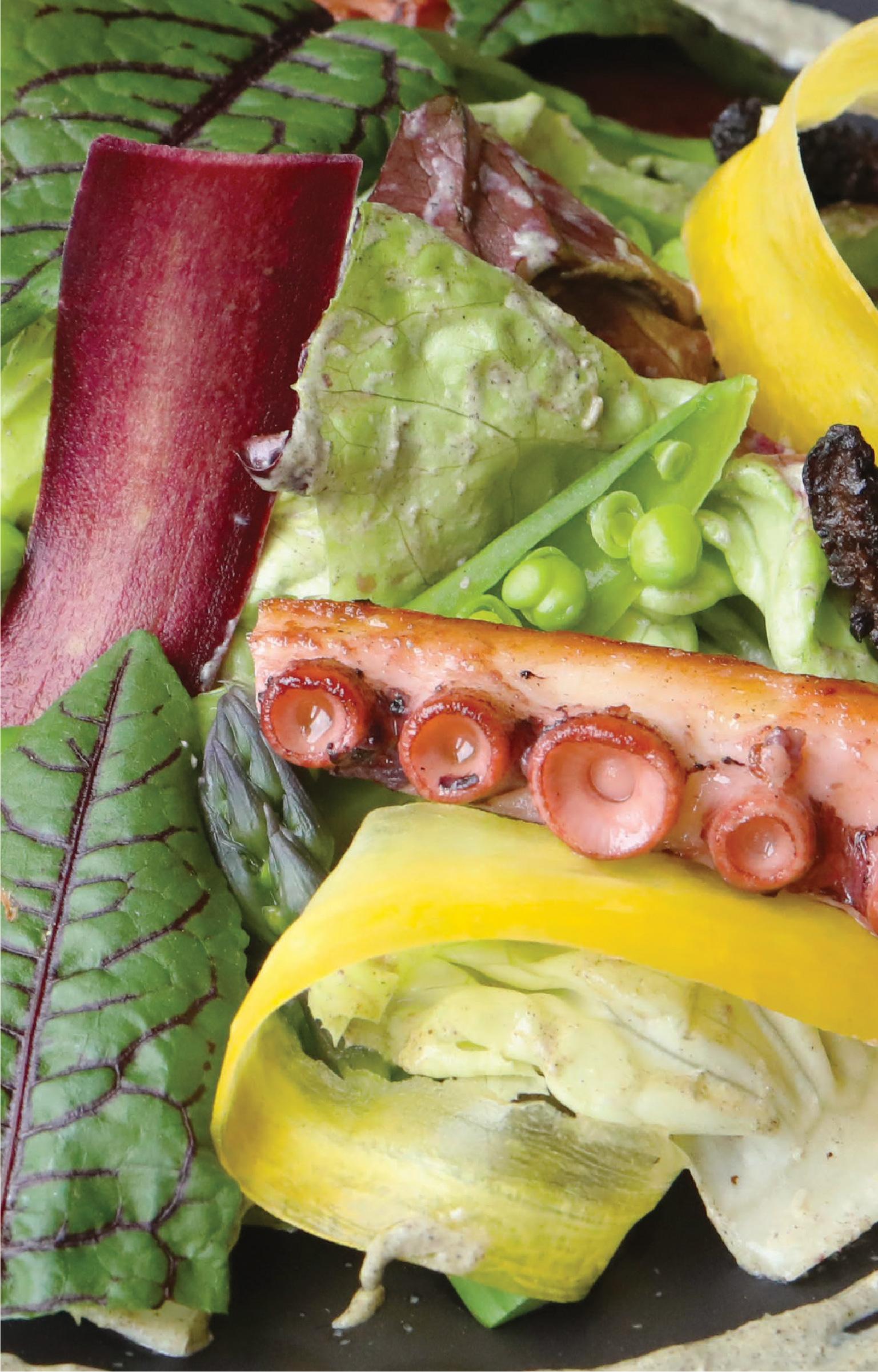 How to Cook Octopus Like an Expert