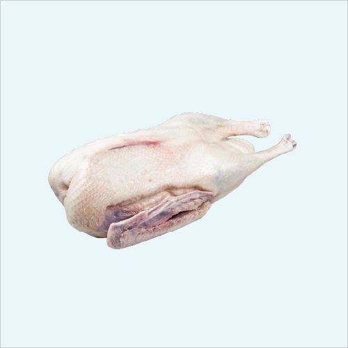 Goose Meat | Shop Wholesale Goose Meat for Sale Online - Marx Foods